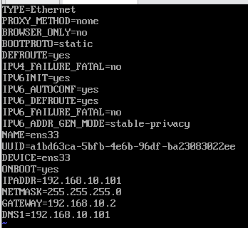 BIND（dns服务器）主从缓配置_bind 主辅延迟-CSDN博客