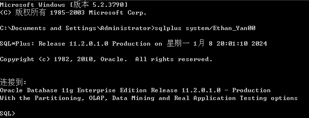 Oracle11g在Windows Sever 2003安装教程_oracle 11.2.0.1.0 安装-CSDN博客