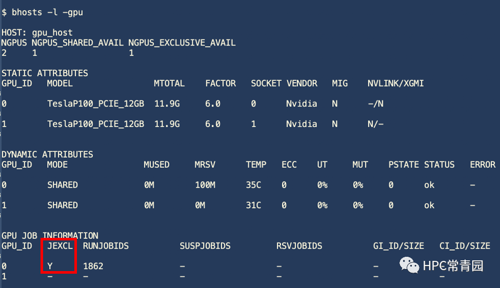 LSF实践专题（22）：如何在LSF中使用GPU资源_lsfg插帧-CSDN博客