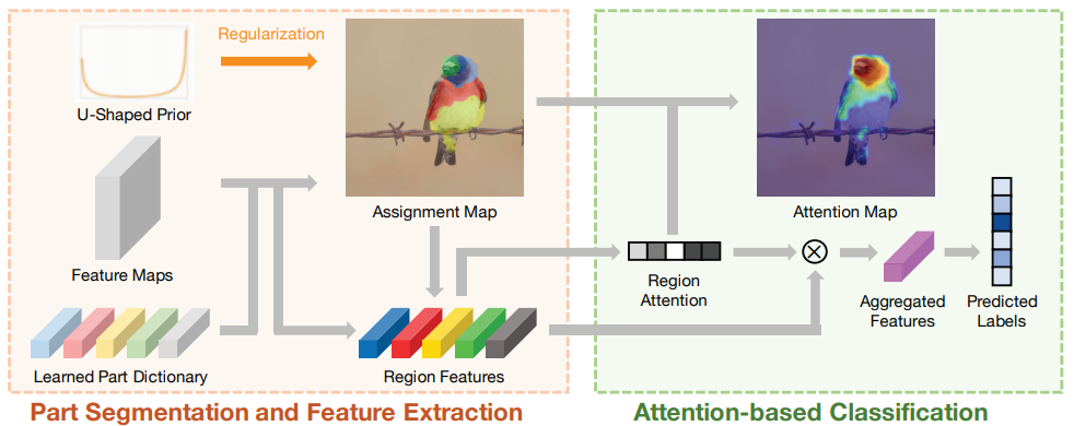 论文阅读：interpretable And Accurate Fine Grained Recognition Via Region Grouping Csdn博客