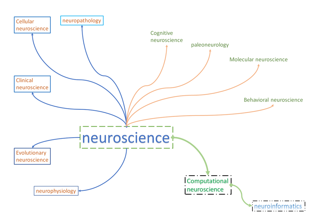 eeg数据集_收藏丨神经科学数据和神经图像领域必备工具-CSDN博客