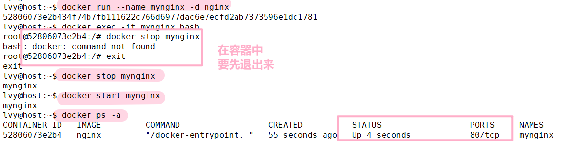 [Docker#7] 容器 | OOM | 常用命令 | 交互模式 | 批量处理_云原生_mit6.824-魔乐社区