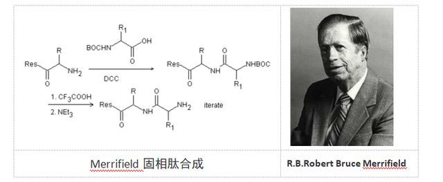 固相载体树脂_固相合成多肽的产率-CSDN博客