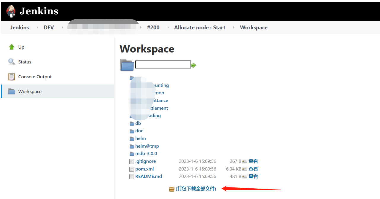 Jenkins流水之后的文件查看_jenkins 显示项目文件-CSDN博客