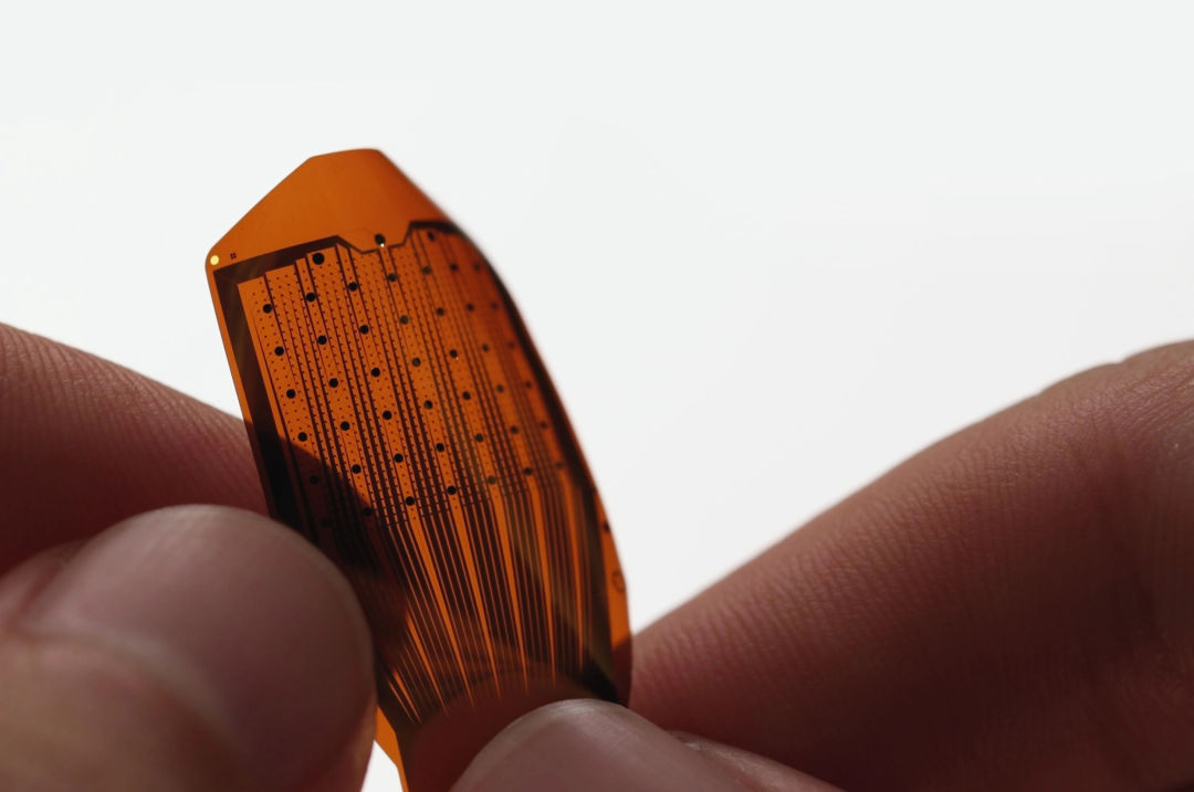 专访Precision Neuroscience公司的联合创始人Dr. Benjamin Rapoport-CSDN博客