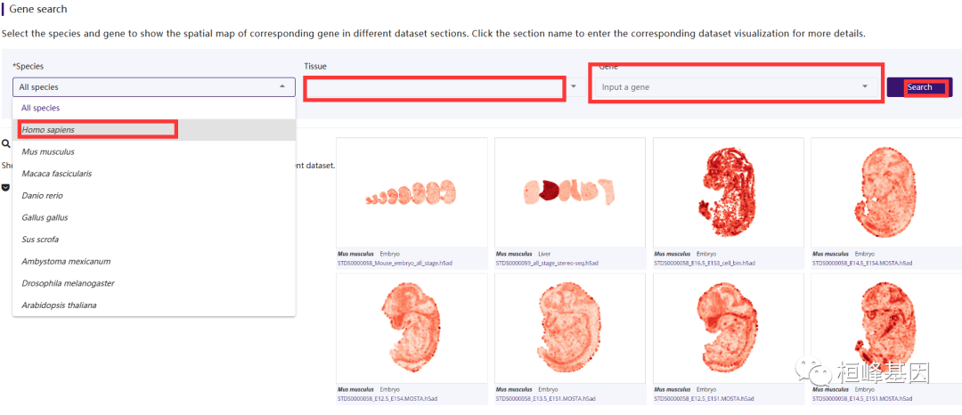 SCS【30】单细胞空间转录组学数据库(STOmics DB)-CSDN博客