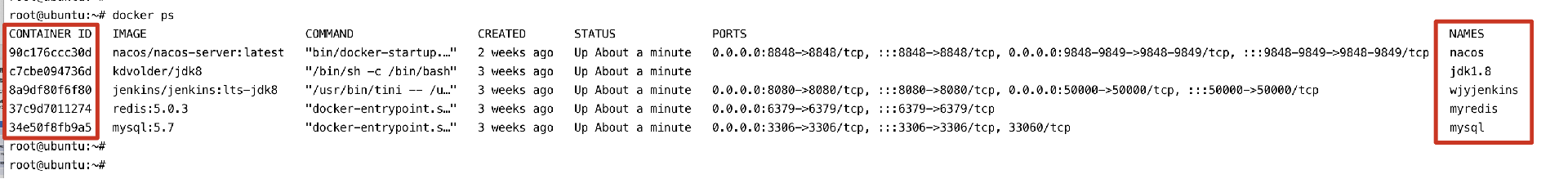 应用容器引擎 - Docker_hub.axlinux.top-CSDN博客