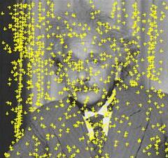 sift算法matlab详解,sift算法原理详解及应用-CSDN博客