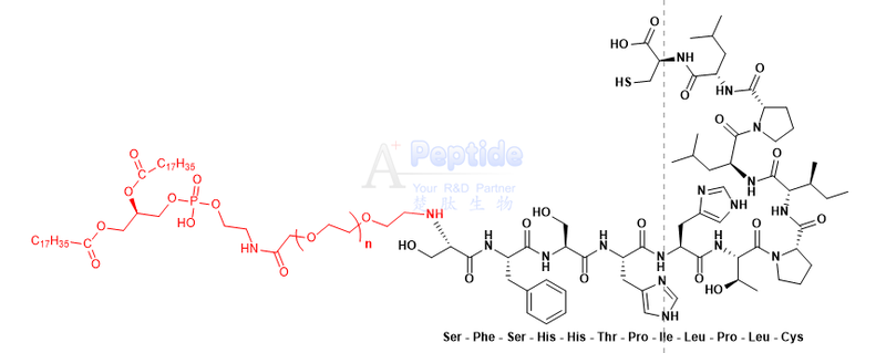 DSPE-PEG-SP94（肝癌靶向肽）DSPE-PEG-SP94(SFSHHTPILPLC； 二硬脂酰基磷脂酰乙醇胺-聚乙二醇-肝癌靶向肽)_肝癌细胞靶向基团sp94-CSDN博客
