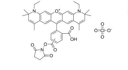 ATTO 590 NHS ester，670269-33-7，是 ATTO 590 的 NHS 酯类衍生物，可标记蛋白或抗体-CSDN博客