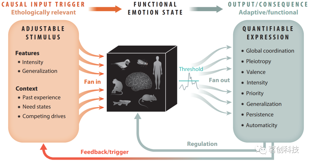 神经科学年鉴 | 全面综述情绪神经回路_vhpc-cea-CSDN博客