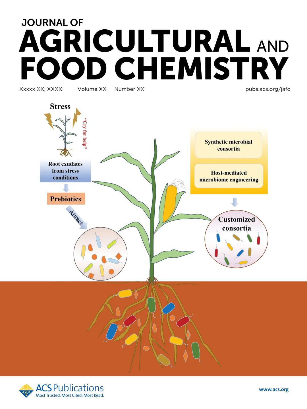 JAFC封面 | 沈其荣院士团队综述调控根际微生物组保障植物健康-CSDN博客