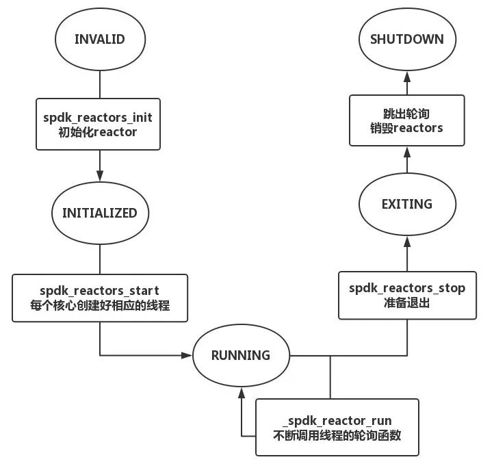 reactor线程模型_SPDK线程模型解析-CSDN博客