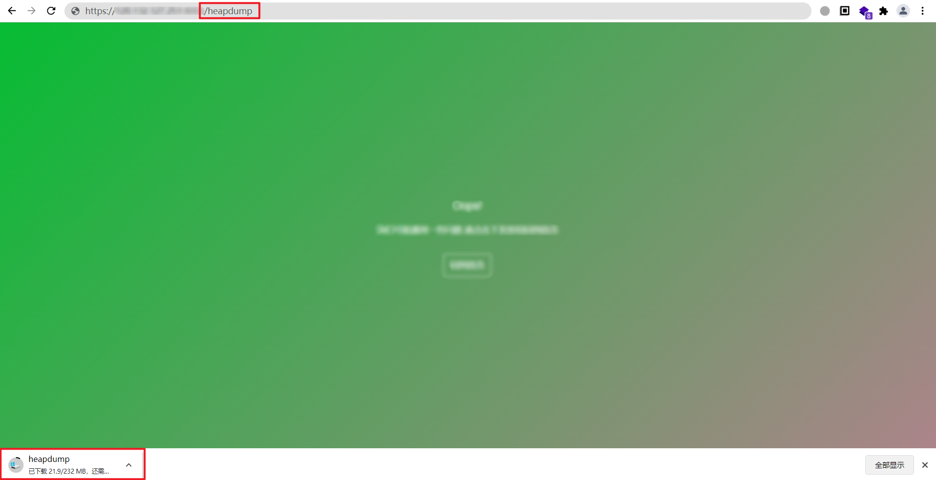 Spring boot heapdump获取信息_springboot heapdump-CSDN博客