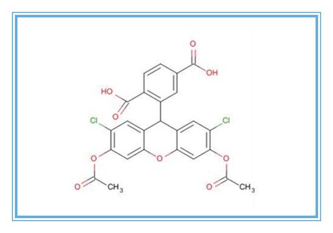 247044-02-6，6-Carboxy-H2DCFDA，6-羧基-H2DCFDA，一种非荧光化合物-CSDN博客