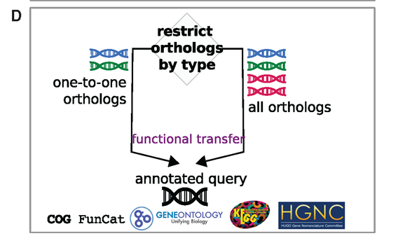 应该是最好的eggnog-mapper功能注释教程-CSDN博客