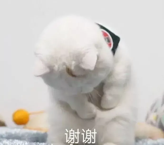 DataColor软件轻松绘制热图、基因密度图、ks图等_ks密度图绘制-CSDN博客