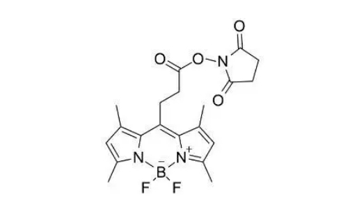 216961-98-7，BODIPY 493/503 SE，具有相对较长的激发状态寿命-CSDN博客