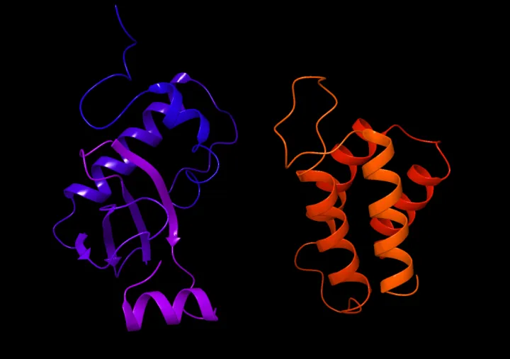 分析方法 | Rosetta使用教学 ——Protein-protein dock模块（刚性对接）_蛋白质与小分子对接好用软件-CSDN博客
