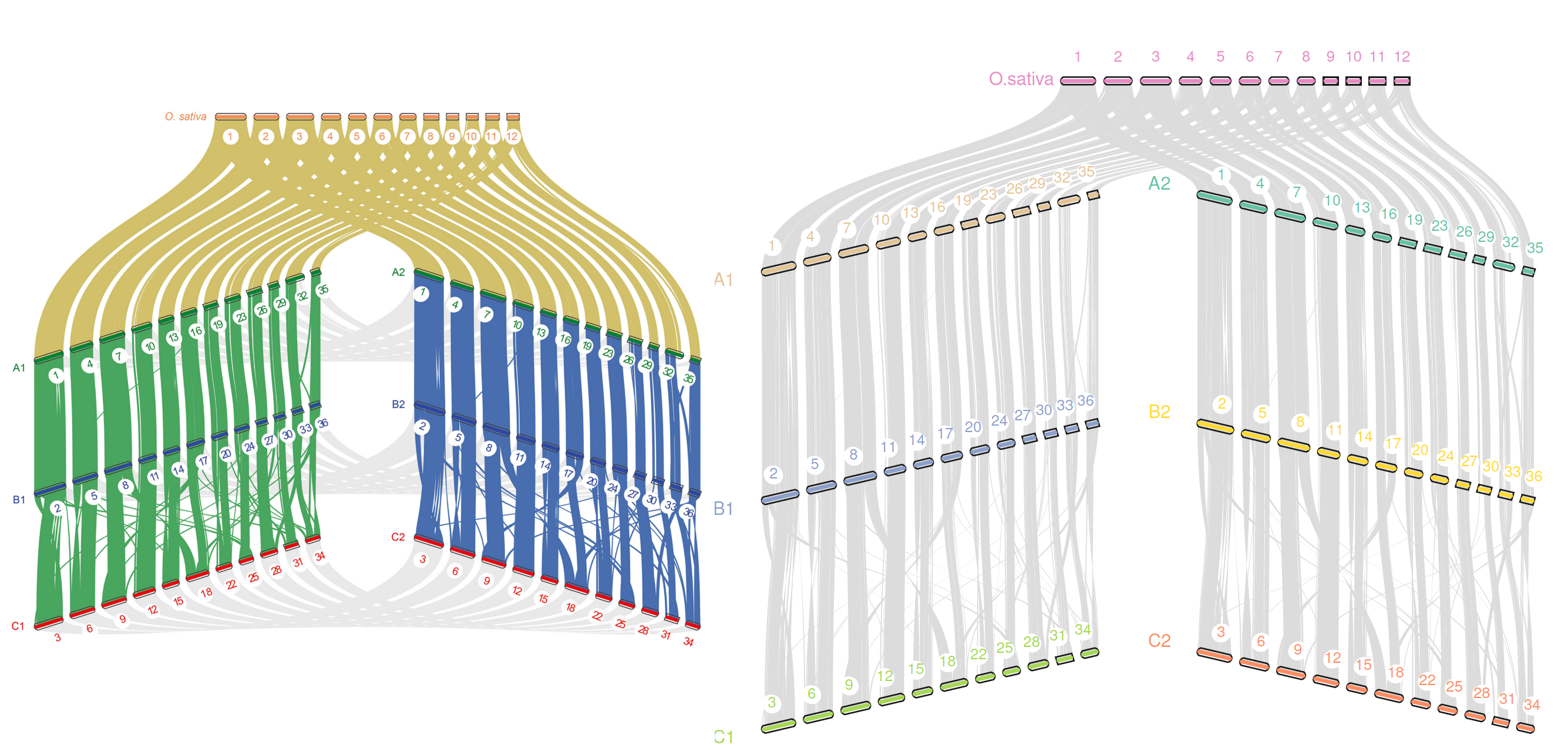 【JCVI】尝试画出可以发表的共线性分析图_指标共线性分析怎么出图-CSDN博客