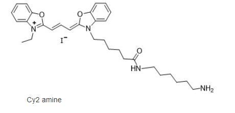 Cyanine2-amine，Cy2-NH2，Cyanine2伯胺，Cy2是一种发射绿色荧光的染料，光学性质与罗丹明绿、FITC、AF488 ...