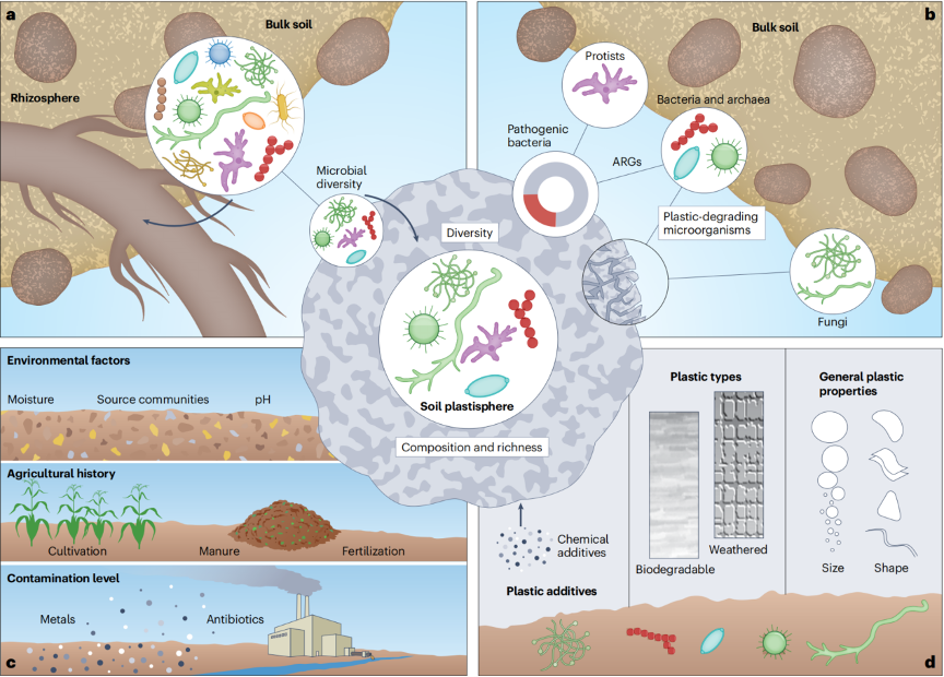Nat. Rev. Microbiol. | 朱永官院士等综述土壤塑料际-CSDN博客