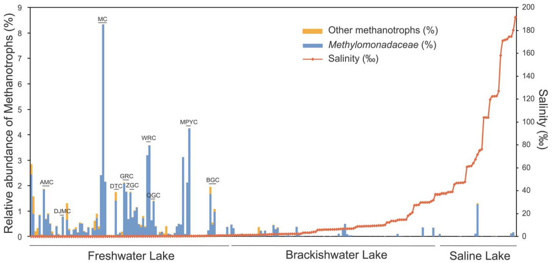 ISME子刊|扩增子+宏基因组binning助力西藏湖泊甲烷氧化细菌研究-CSDN博客