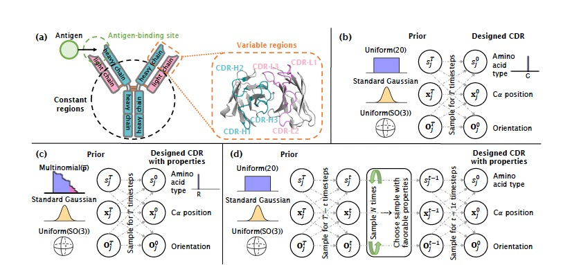 引导扩散模型实现抗体序列与结构共同设计-CSDN博客