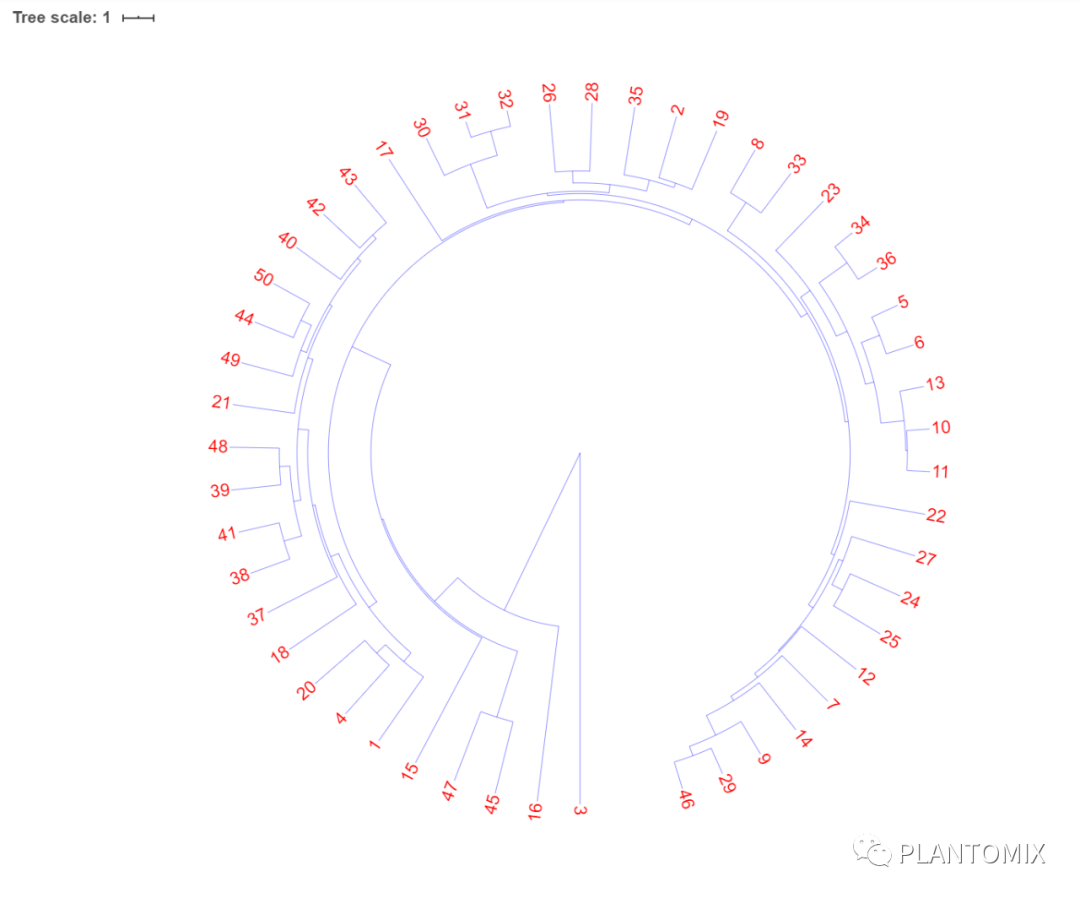 层次聚类算法_【R语言】层次聚类算法及可视化_weixin_39831902的博客-CSDN博客