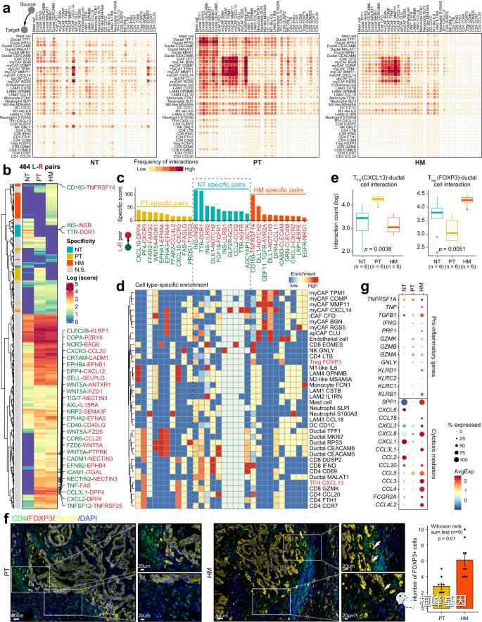 IF：16+ 基于 scRNA-seq 研究免疫抑制肿瘤微环境与胰腺癌肝转移的相关性-CSDN博客