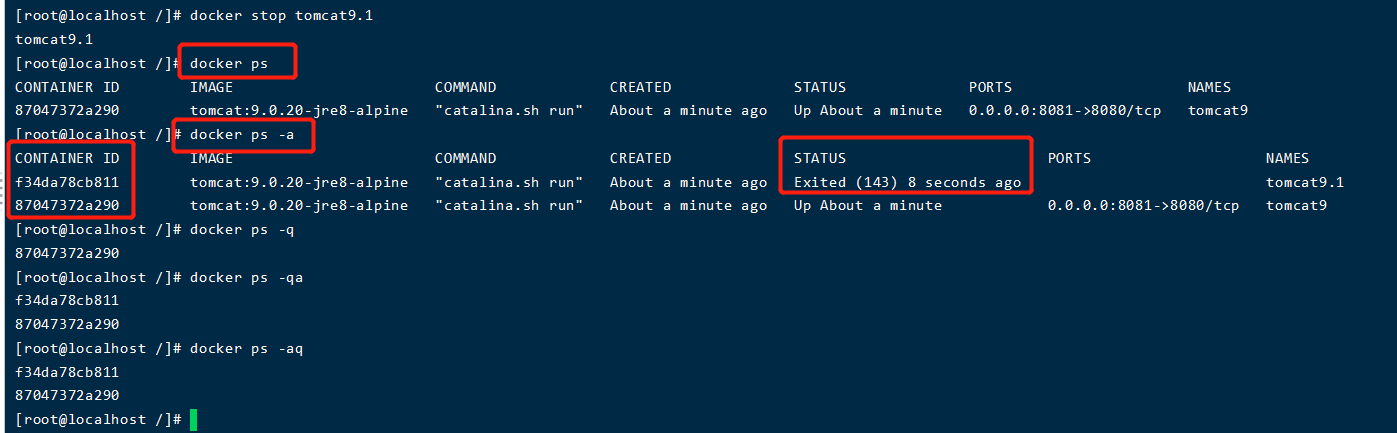 Docker容器虚拟化技术_docker虚拟化技术-CSDN博客