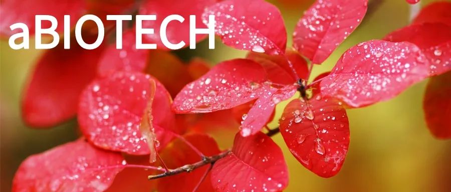 aBIOTECH | 中山大学徐锦课题组综述 scATAC-seq 数据分析方法-CSDN博客