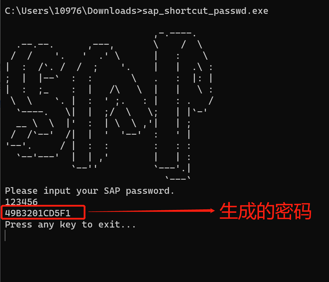 SAP GUI 自动登录教程，简单四步搞定!!!!!_sap自动登录-CSDN博客