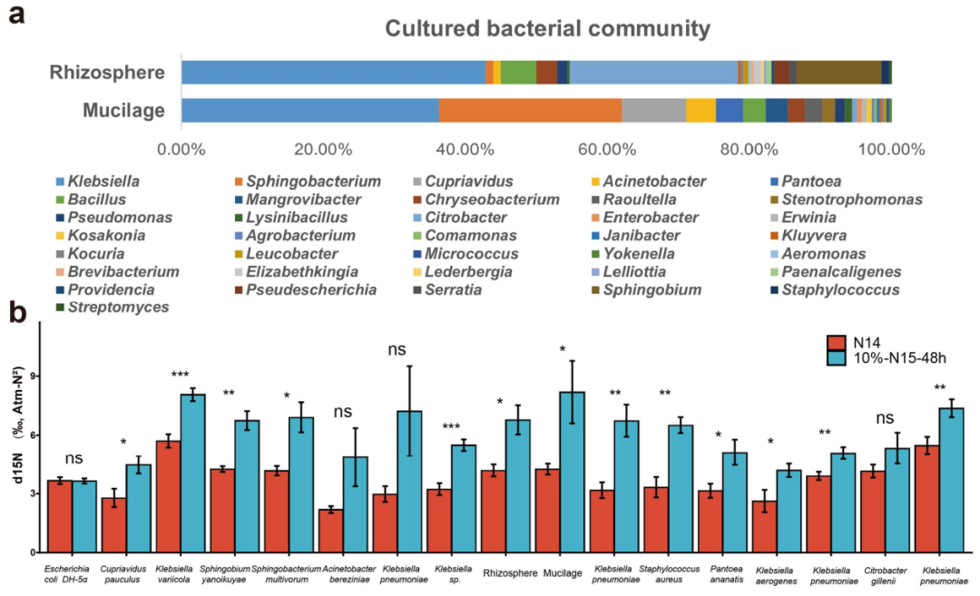 Microbiome | 中科院/农科院/浙大解析微生物介导的植物气生根黏液固氮功能及稳态维持机制...-CSDN博客