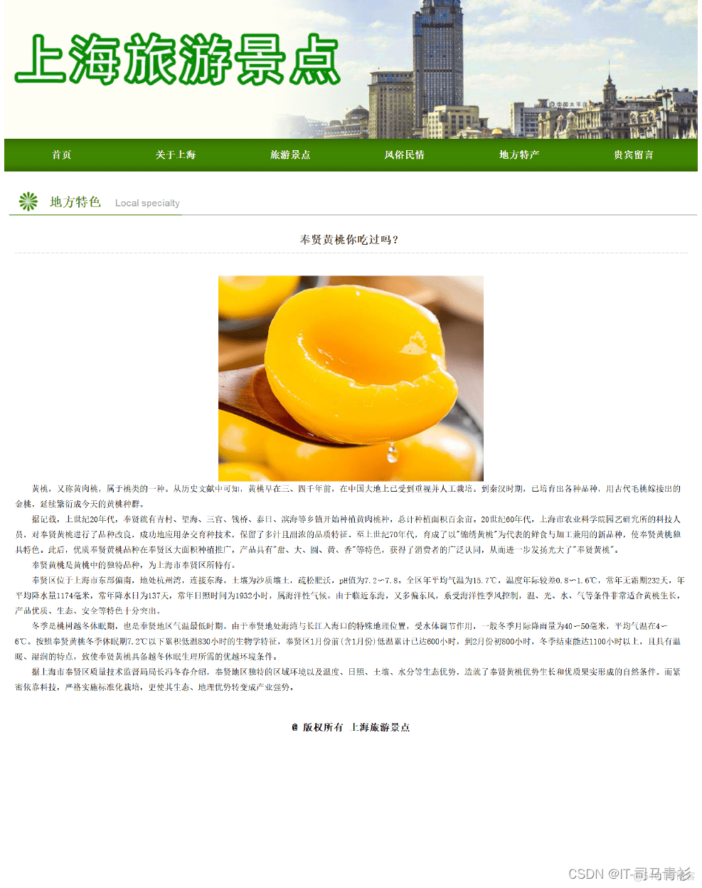 Htmlcssjs网页设计期末课程大作业——上海旅游景点（10页）web前端开发技术 Web课程设计 网页规划与设计 Csdn博客