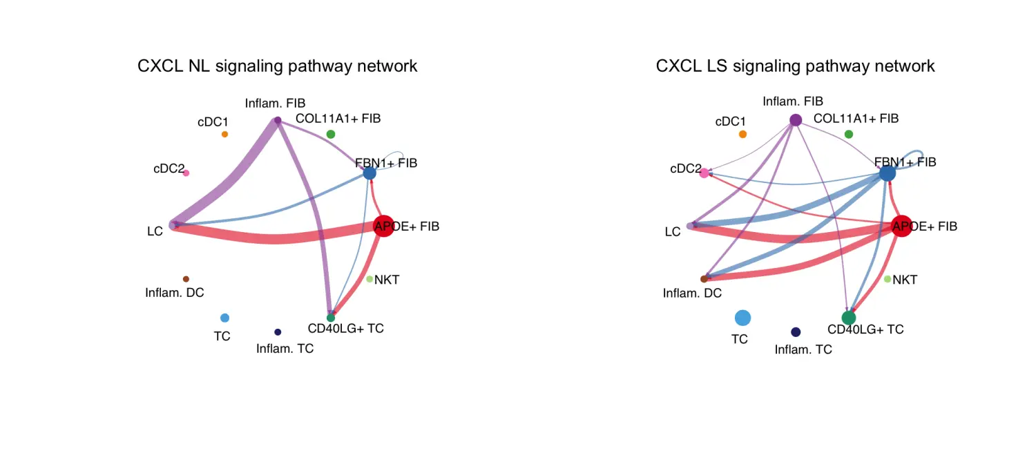 10X单细胞（10X空间转录组）通讯分析CellChat之多样本通讯差异分析_cellchat computenetsimilaritypairwise-CSDN博客