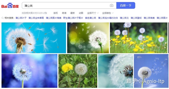 Python爬取图片并保存爬虫：大量爬取百度图片——python Csdn博客