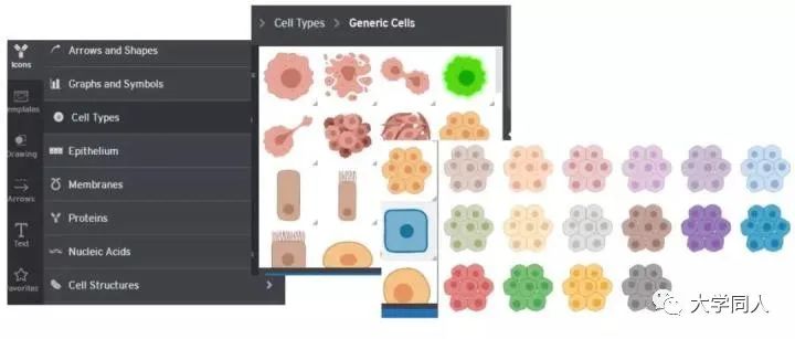 origin如何将多个曲线放在一张图_解密！SCI论文中那些高大上的插图是如何绘制的..._weixin_39530833的博客-CSDN博客