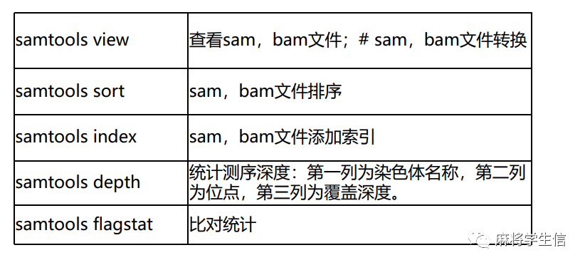 16查看走线长度_转录组实战（八）：sam/bam文件查看-CSDN博客