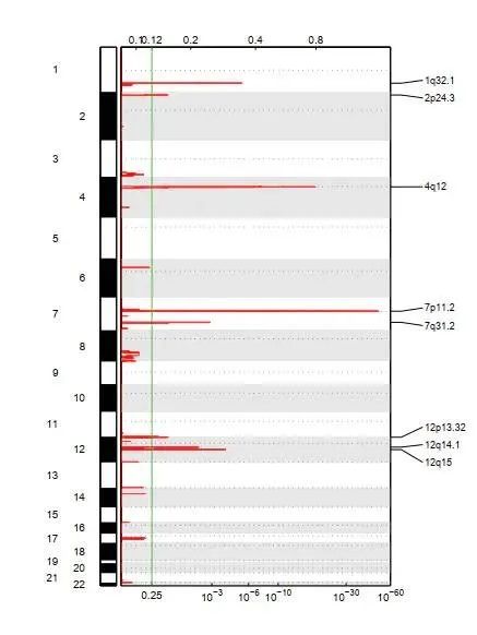 DNA 7. 基因组拷贝数变异分析及可视化 (GISTIC2.0)-CSDN博客
