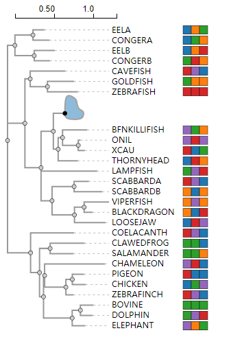 基于 phylotree.js 基因进化树可视化图谱（gene-tree）-CSDN博客