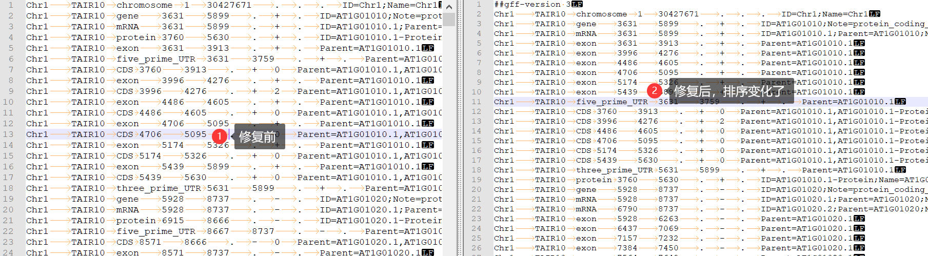 贴心 | GXF Fix 修复 / 优化基因结构注释信息文件 - GTF/GFF3_gtf文件只有exon如何补全-CSDN博客