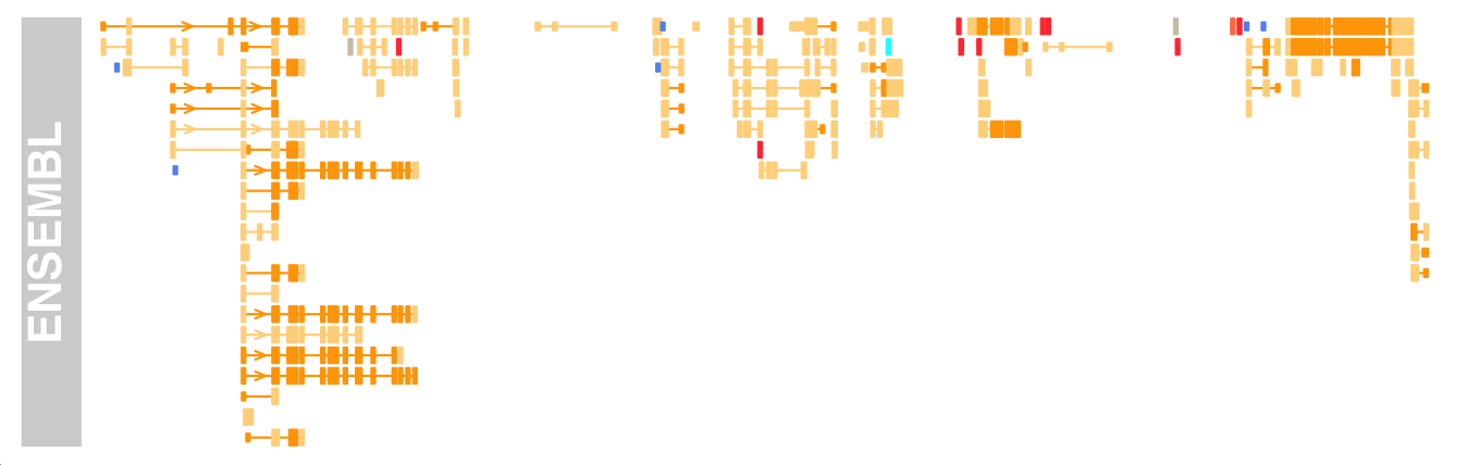 使用Gviz包实现基因组数据可视化-CSDN博客