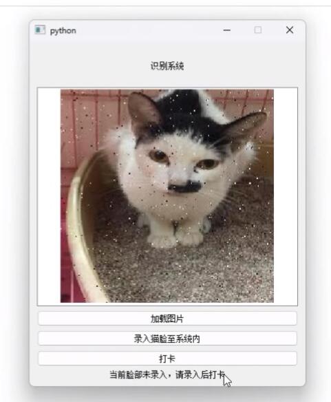 123基于python深度学习的猫脸识别录入检测系统猫脸识别系统 Csdn博客 5312