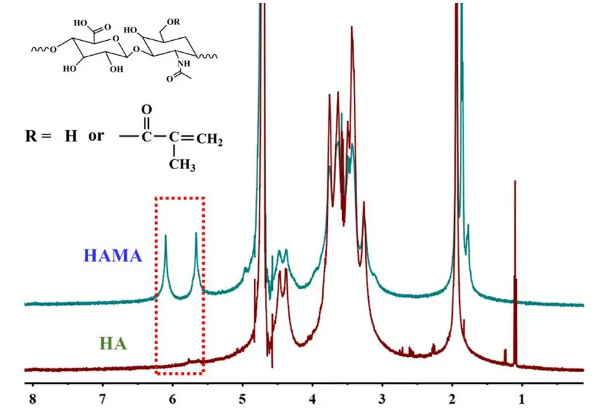 HAMA甲基丙烯酰化透明质酸光固化凝胶性状分析_hama降解效果-CSDN博客
