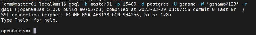 详解openGauss客户端工具gsql的高级用法_gsql客户端-CSDN博客