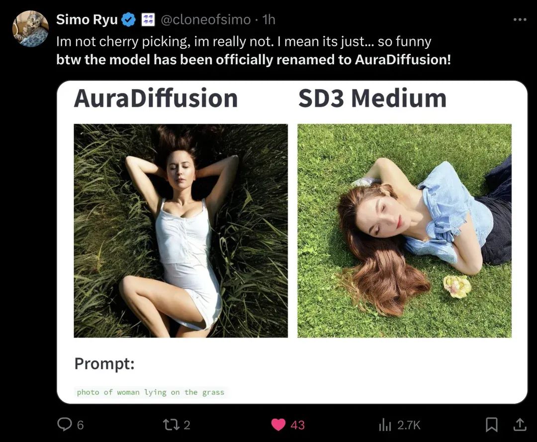 AuraFlow：AI绘画开源文生图模型的未来之星？-CSDN博客