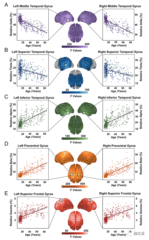 PNAS：从儿童到老年大脑自发皮层动态变化轨迹-CSDN博客