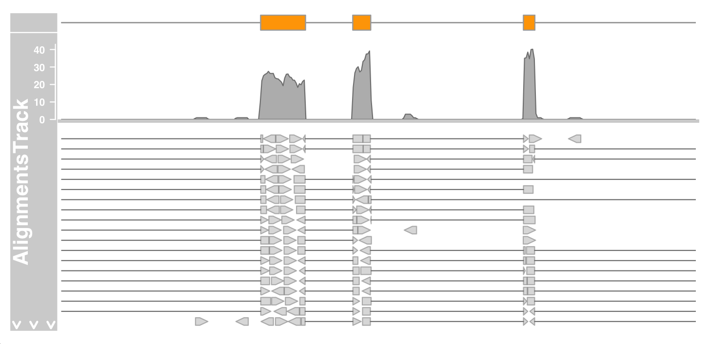 使用Gviz包实现基因组数据可视化-CSDN博客